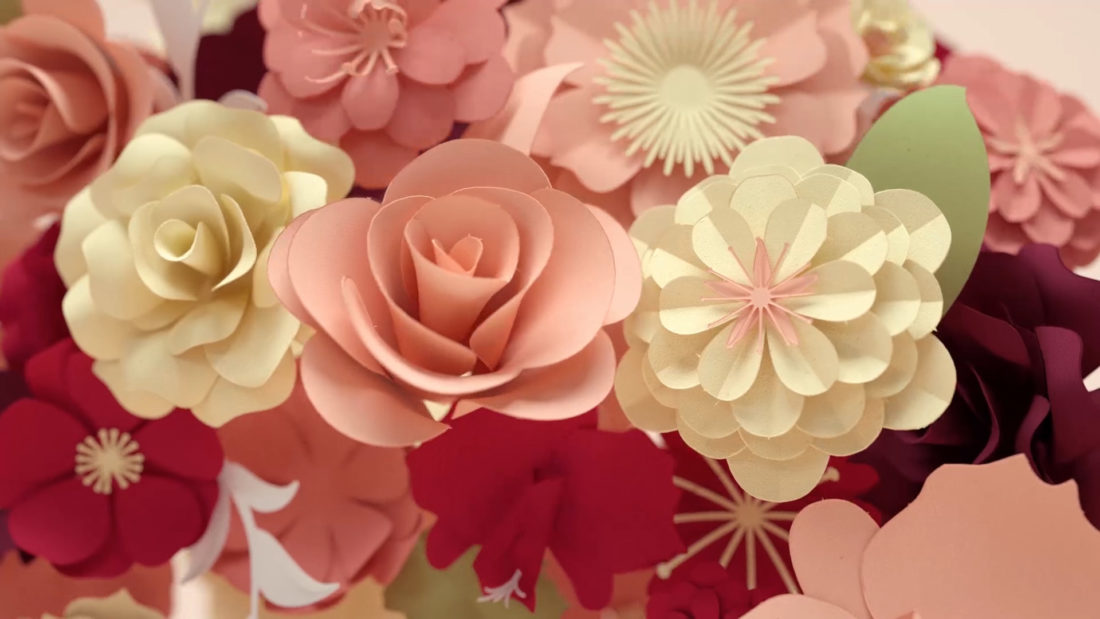 JVG – analog/digital